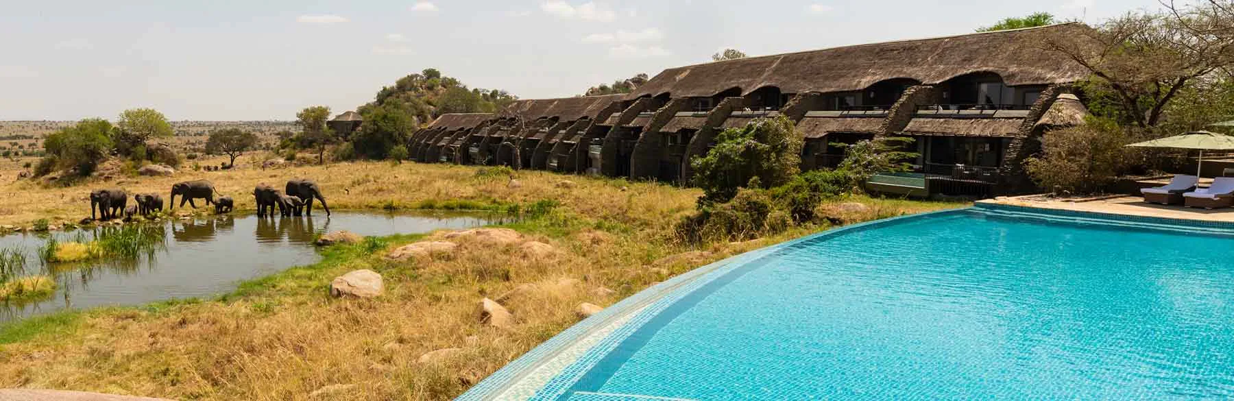 Serengeti National Park Holidays 2024/2025 - Cheap Holiday packages to ...